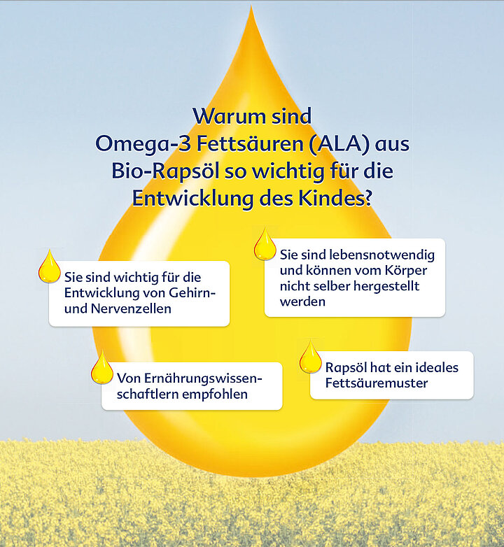 Warum ist Omega-3 aus Rapsöl für Babys wichtig? | HiPP