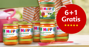 HiPP Babynahrung in Bio-Qualität ♡ Das Beste für Ihr Kind