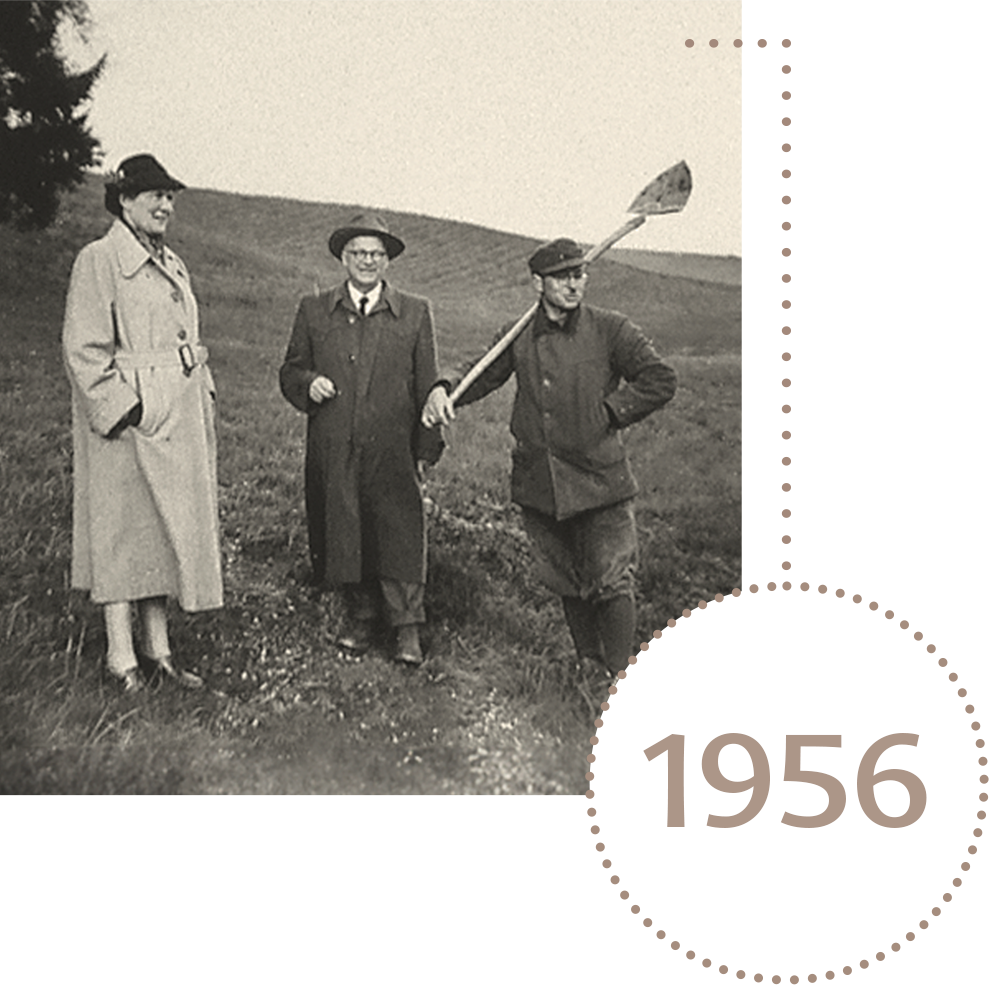 Soo groß! 125 Jahre HiPP