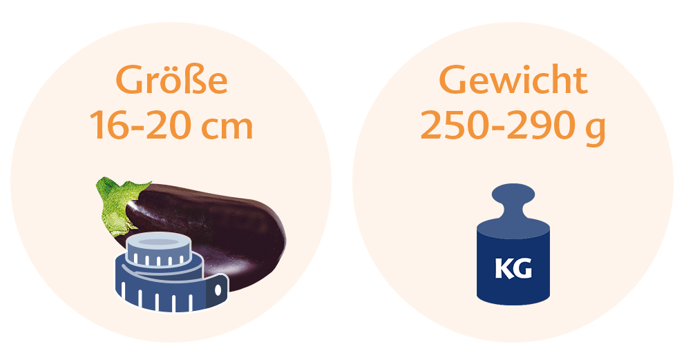 SSW 20: Das ist los in der 20. Schwangerschaftswoche | HiPP